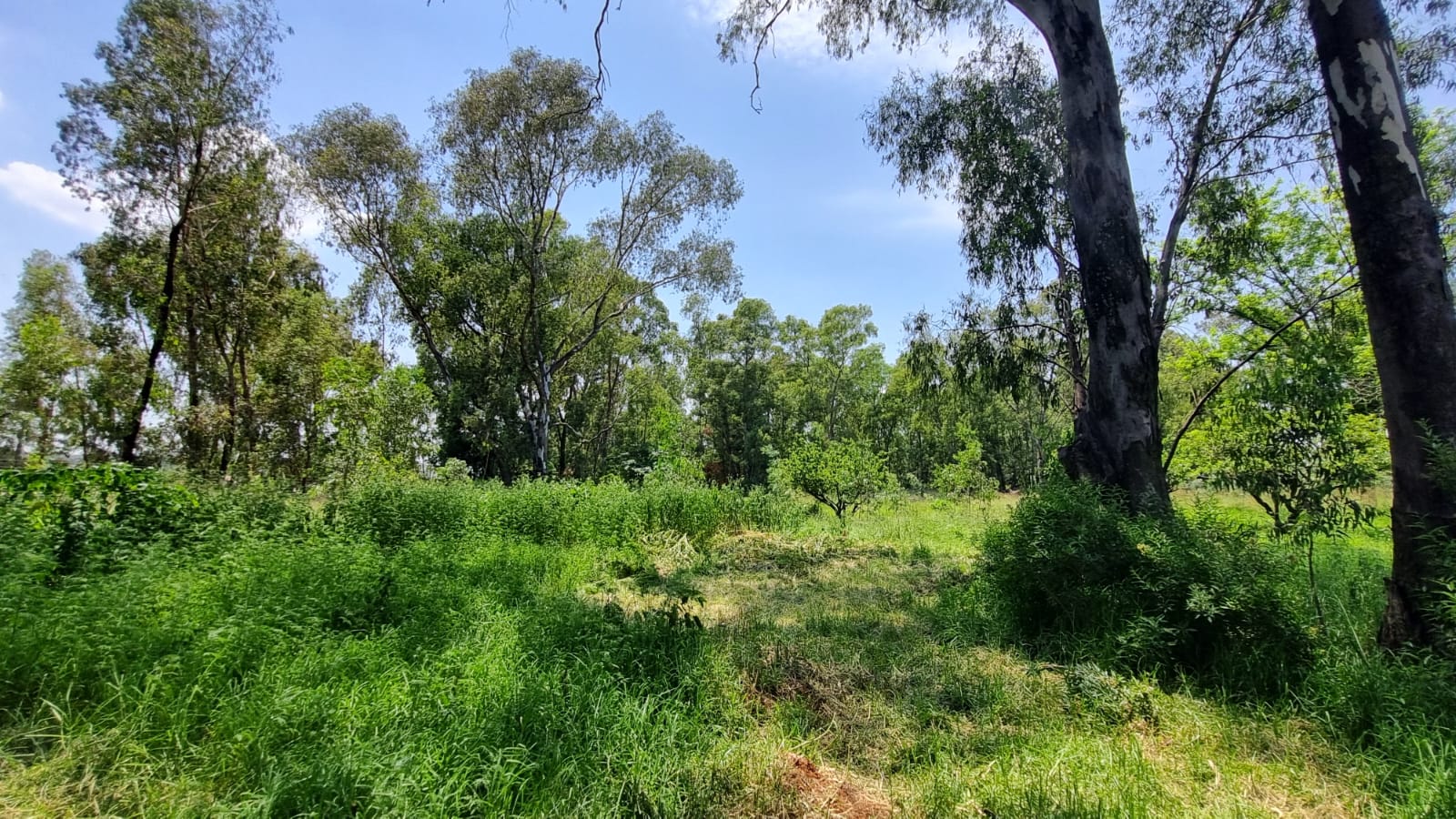 Vacant land / plot for sale in Benoni AH - P24-116980048