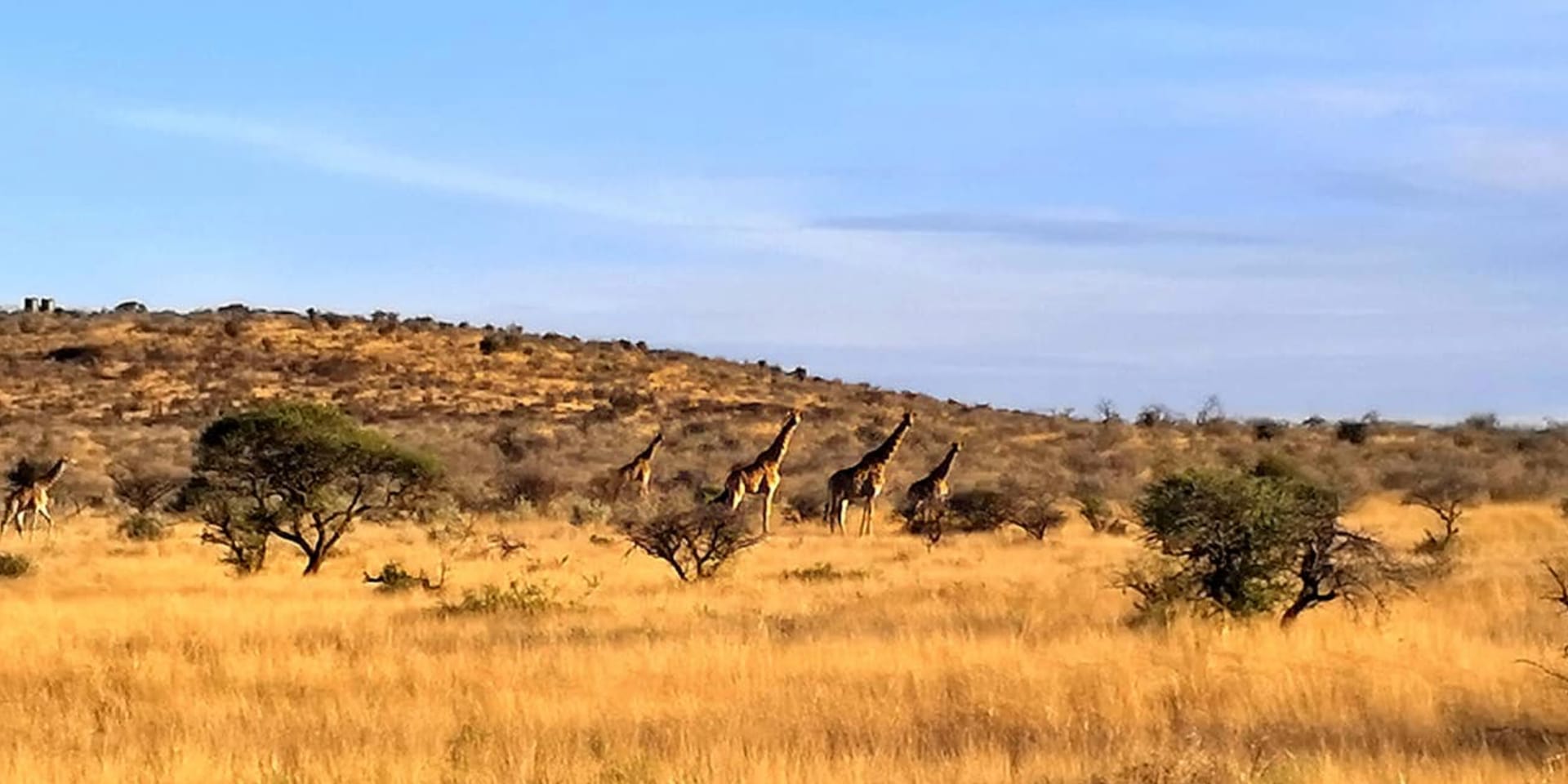 Farm for sale in Boshof Rural - 43 Serfonteinshoop - P24-115664854