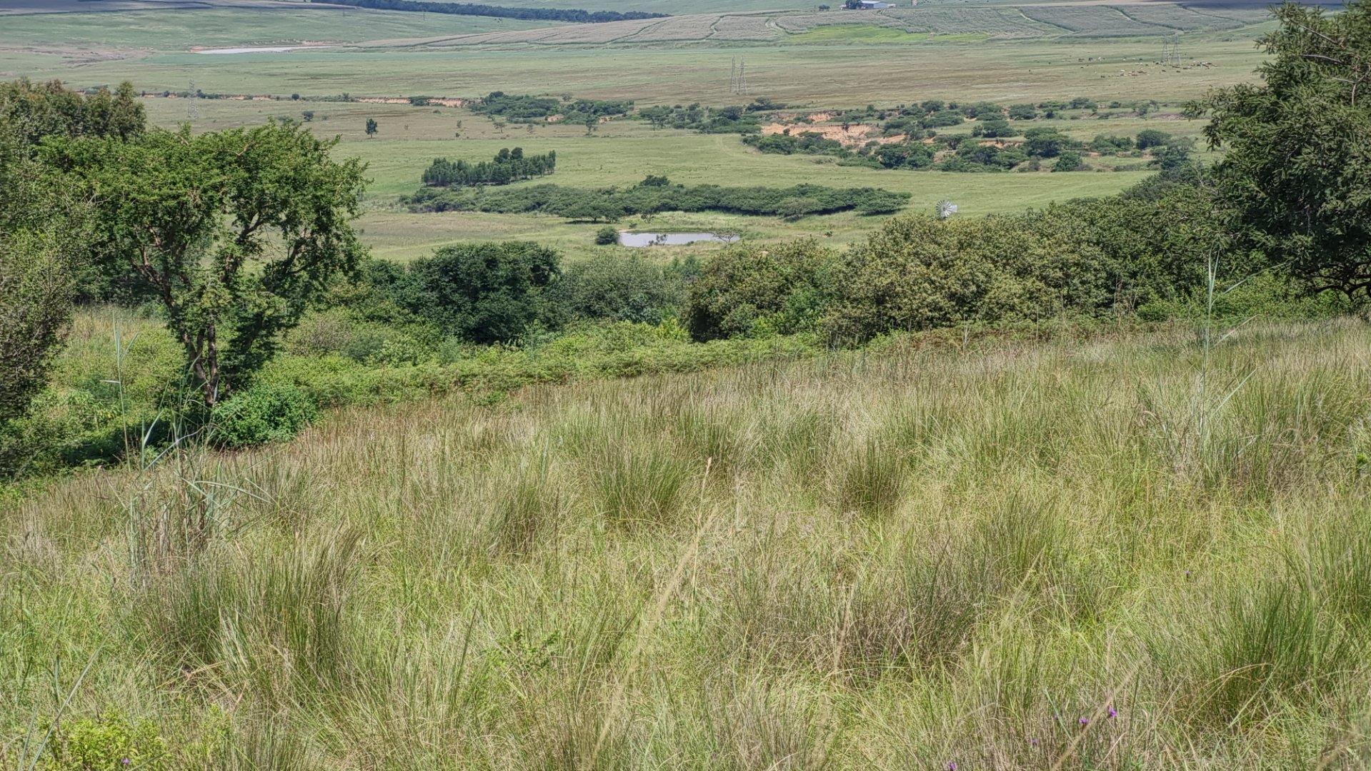 Farm for sale in Vryheid Rural - P24-115699911