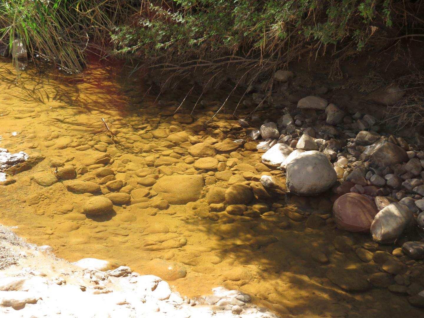 Vacant land / plot for sale in De Rust - P24-115823849