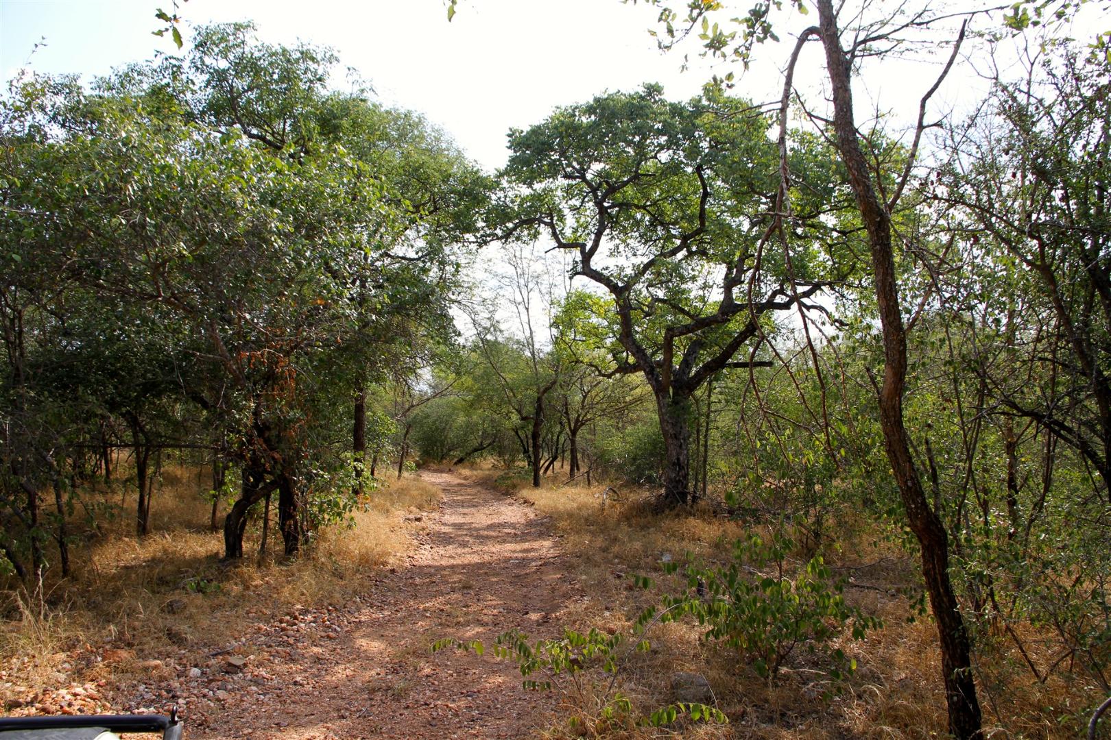 Property for sale in Limpopo : Vacant land / plots for sale in Limpopo ...