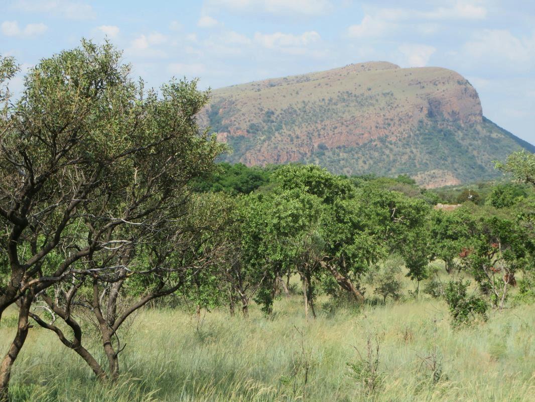 Farm for sale in Zandfontein AH - P24-115964747