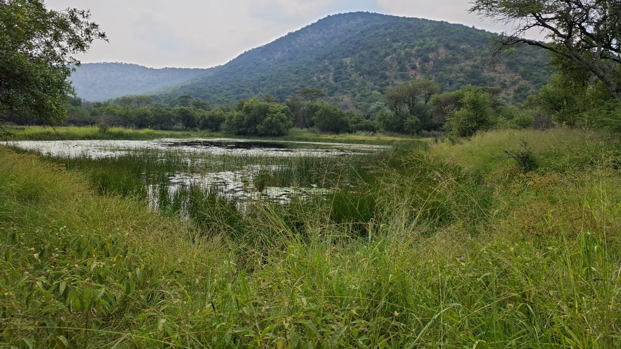 Mothutlung-A Property : Property and houses for sale in Mothutlung-A ...