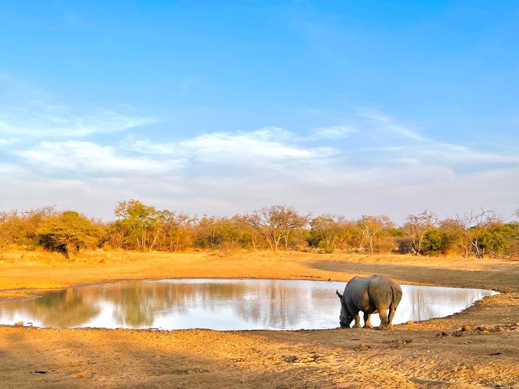 Vacant land / plot for sale in Moditlo Wildlife Estate - Moditlo Nature ...