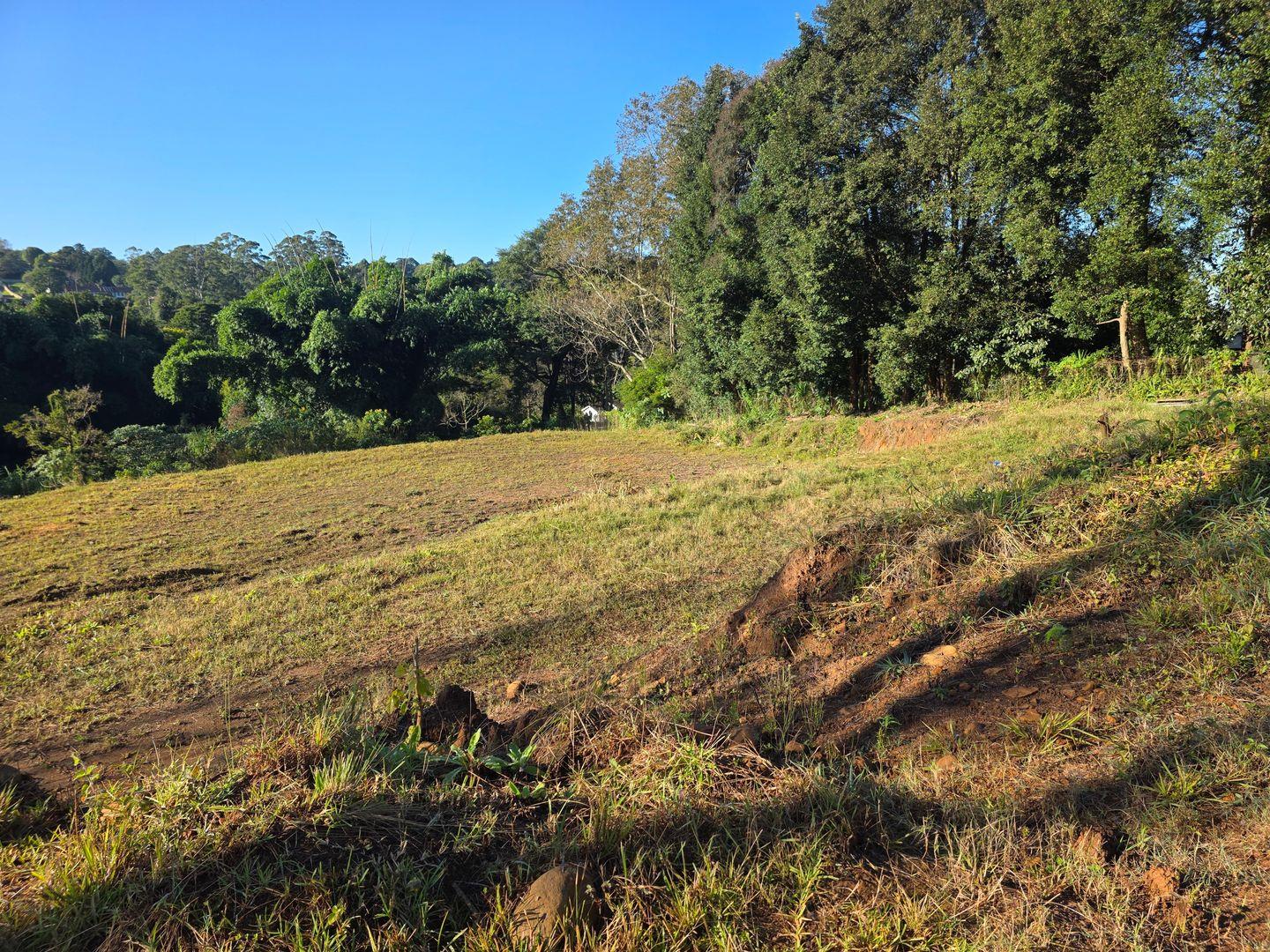 Vacant land / plot for sale in Assagay - P24-116052932