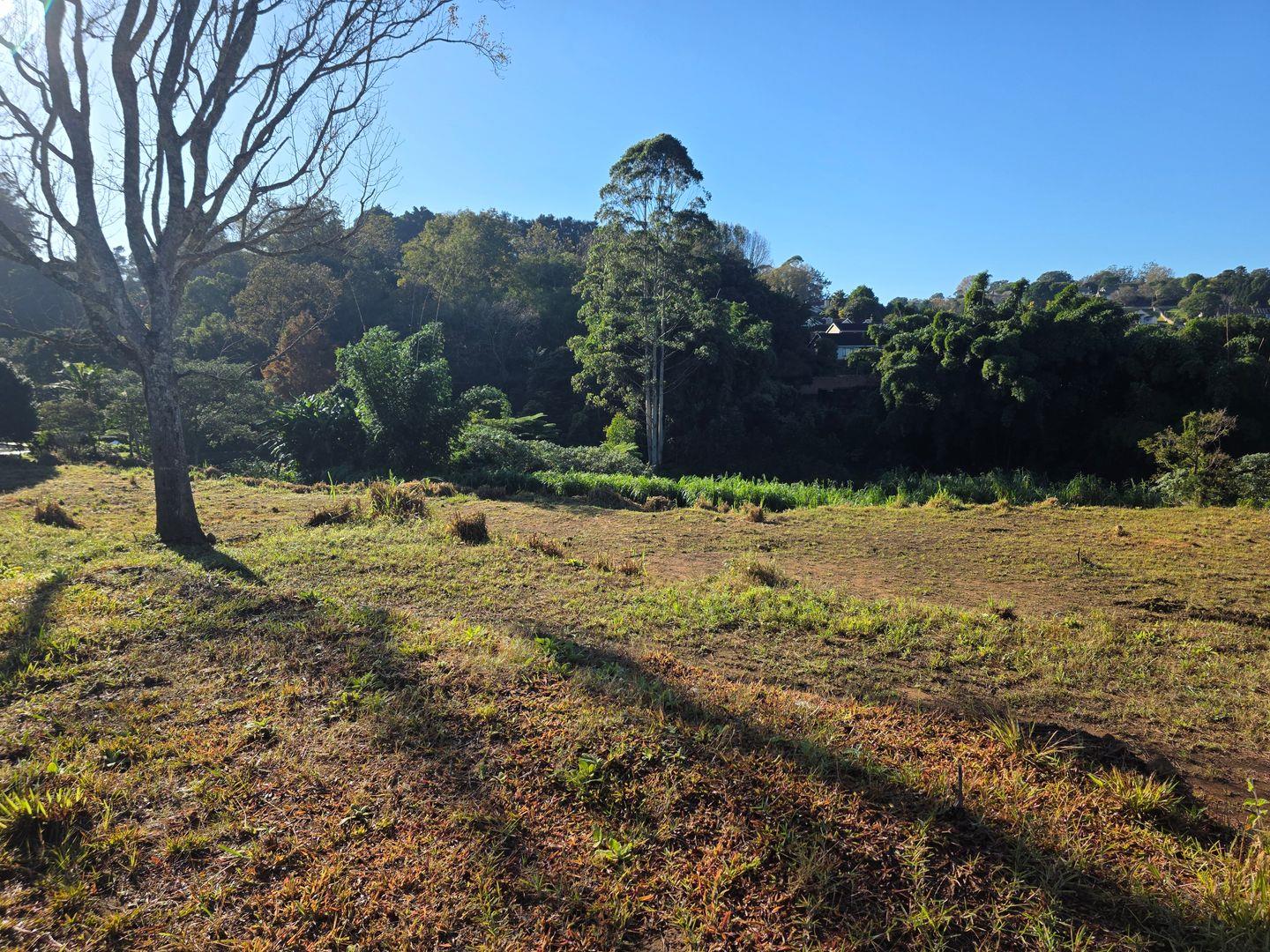 Vacant land / plot for sale in Assagay - P24-116053395