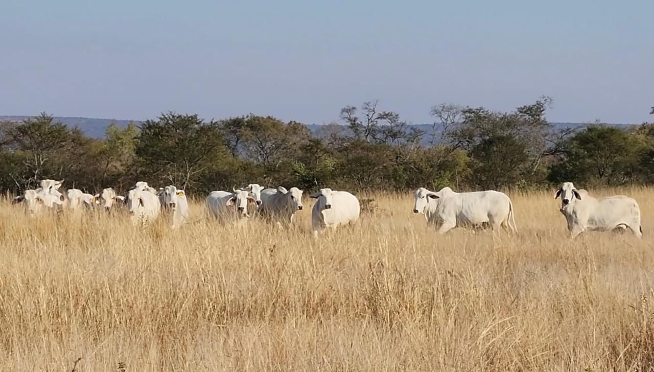 Property and houses for sale in Modjadjiskloof : Modjadjiskloof ...