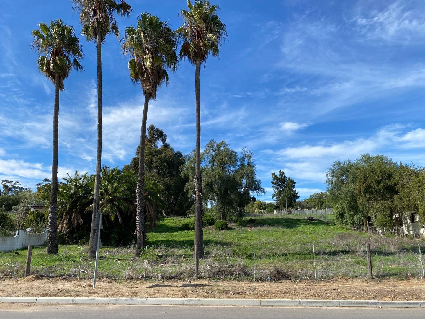 Vacant land / plot for sale in Hopefield - P24-116129773