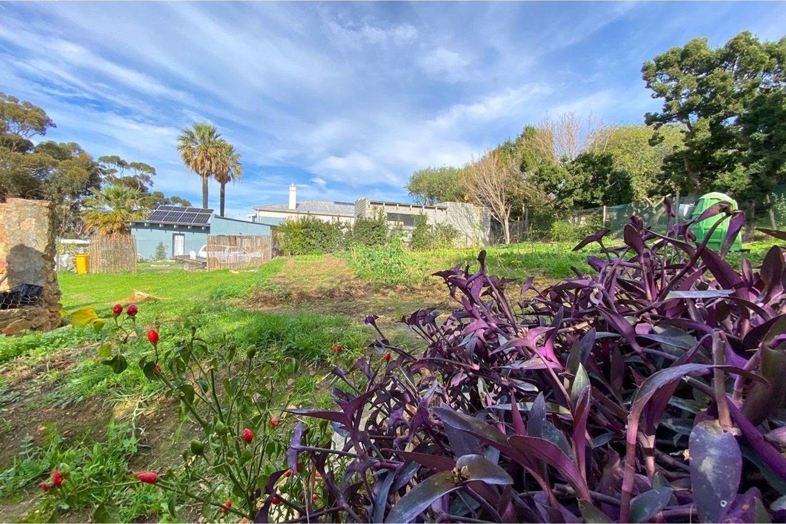 Vacant land / plot for sale in Bot River - 7 1st Avenue - P24-116132067