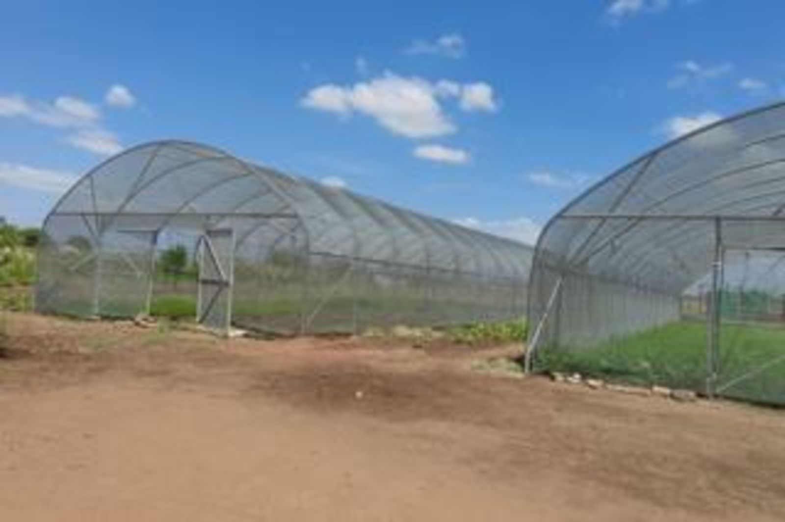 Farm for sale in Winterveldt - 5942 11th - P24-116199166