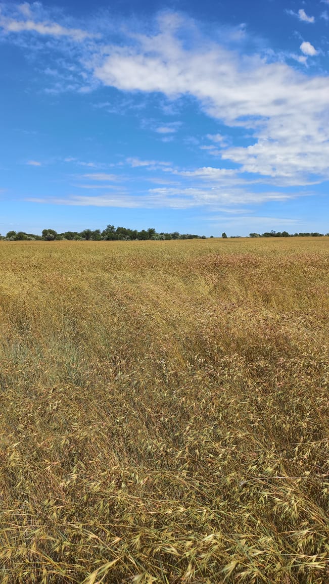 Farm for sale in Reivilo - P24-116199726