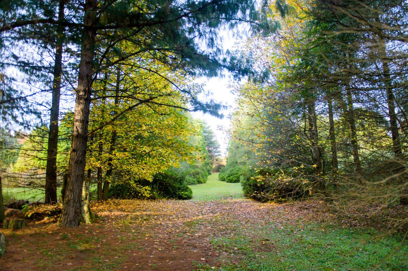 Vacant land / plot for sale in Balgowan - P24-116234867