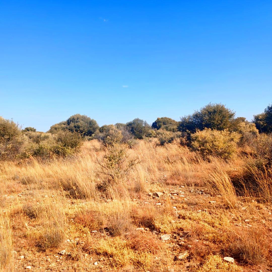 Farm for sale in Reivilo Rural - P24-116264128