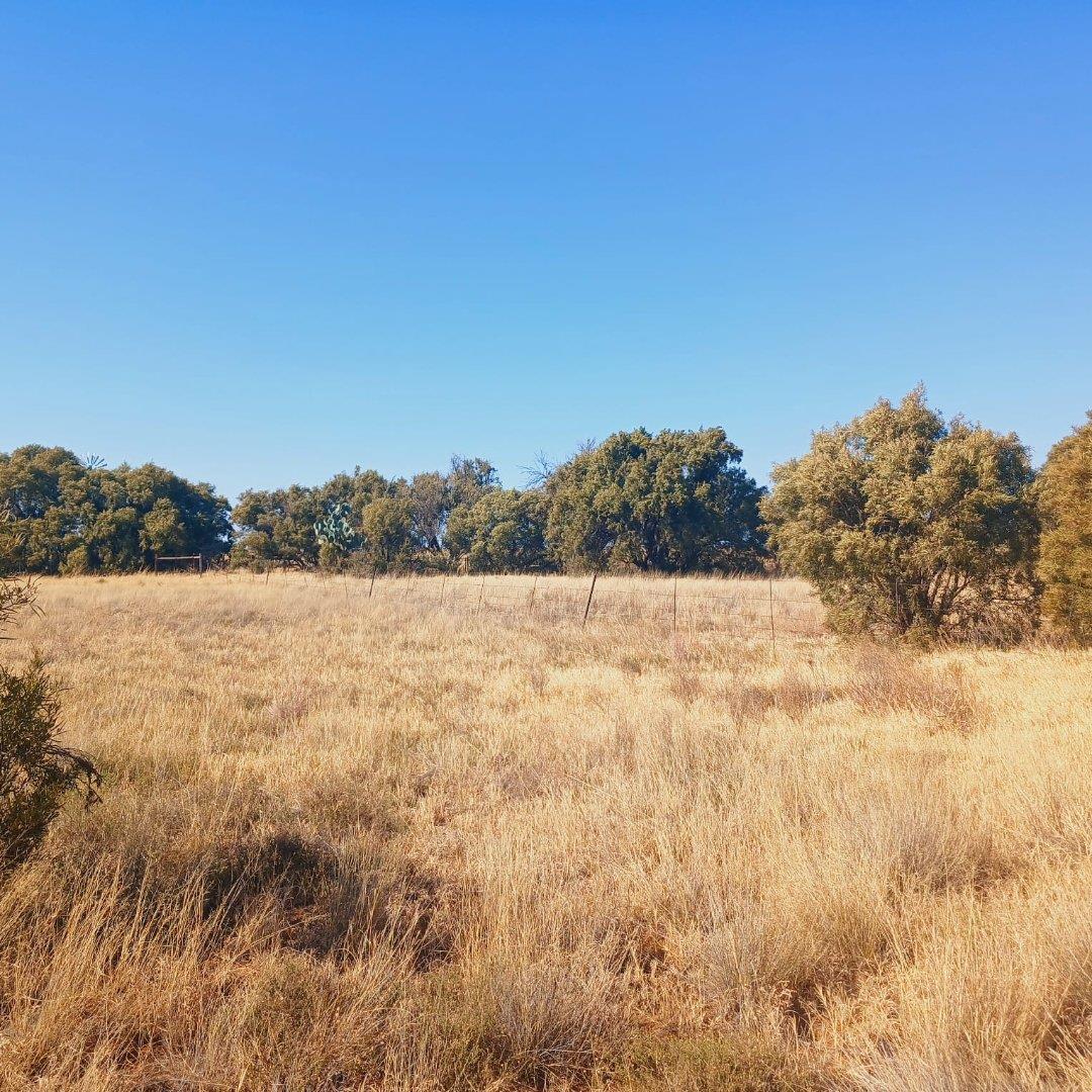 Farms for sale in Reivilo : Reivilo Property : Property24.com