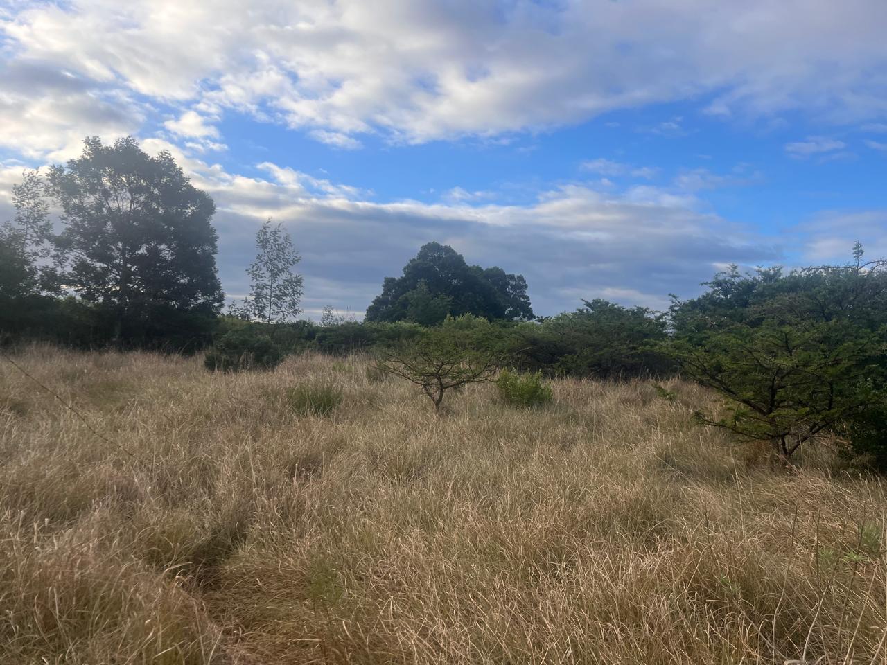 Vacant land / plot for sale in Cove Ridge East - 1234 Alex Street ...