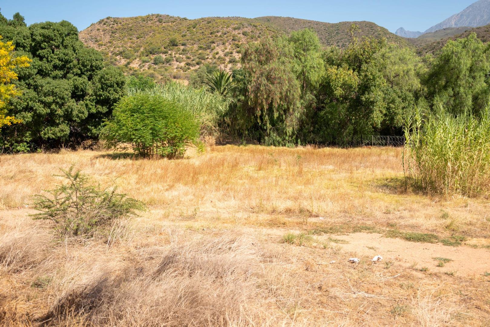 Vacant land / plot for sale in De Rust - 36 Schoeman Street - P24-115595058