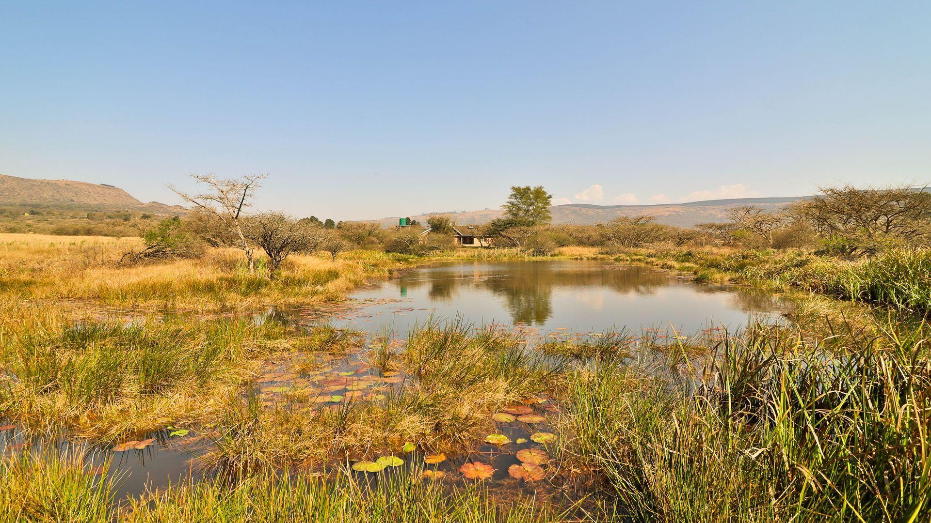 Farm for sale in Albert Falls - P24-113948899
