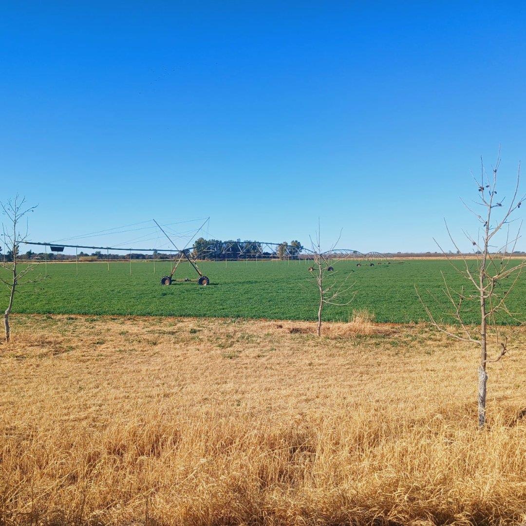 Farm for sale in Barkly West Rural - P24-116361128