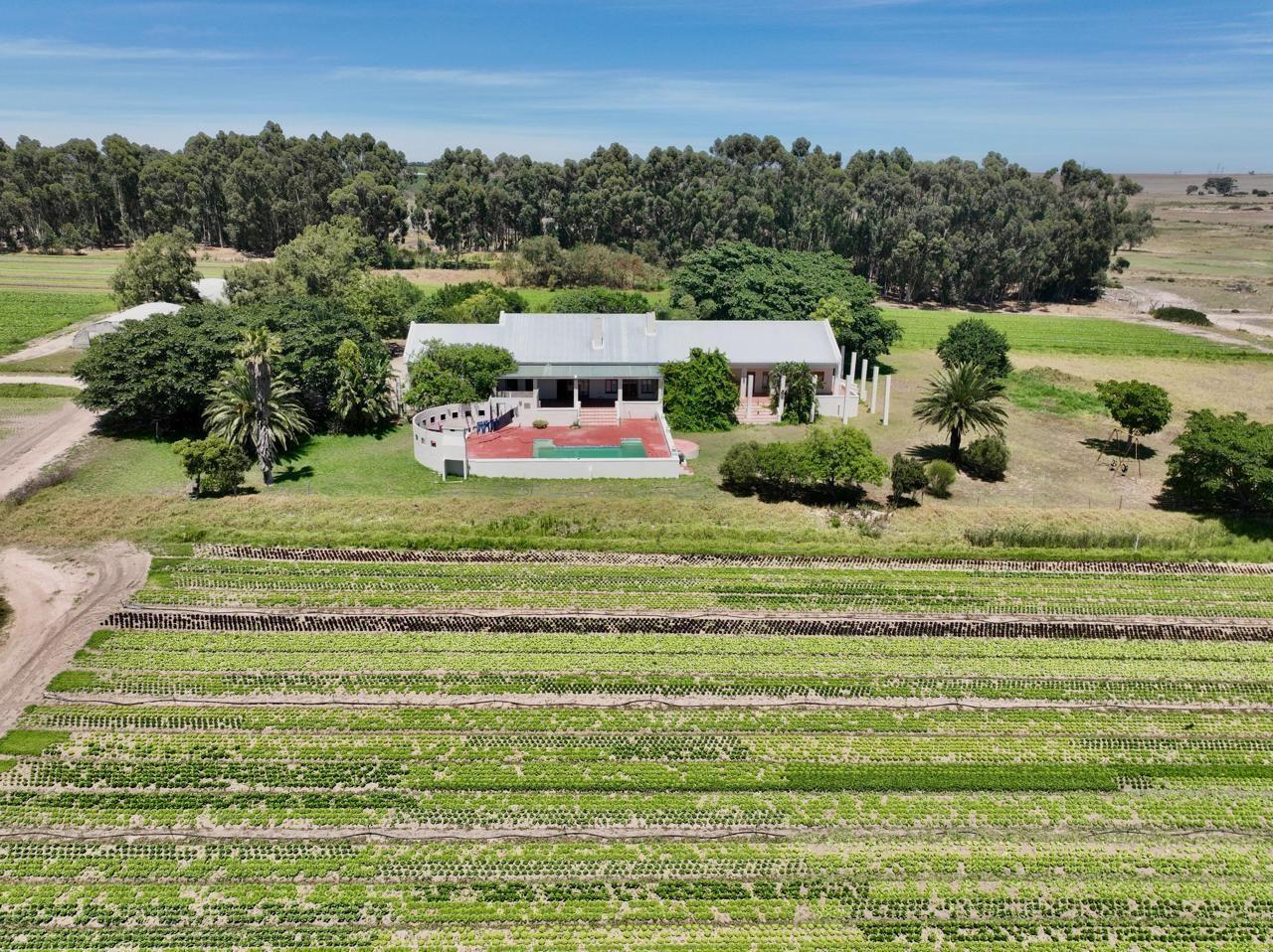 Farm for sale in Klapmuts - 4 Skoongesig - P24-116375984