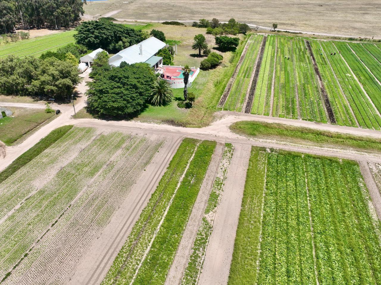 Farm for sale in Klapmuts - 2 Skoongesig - P24-116375902