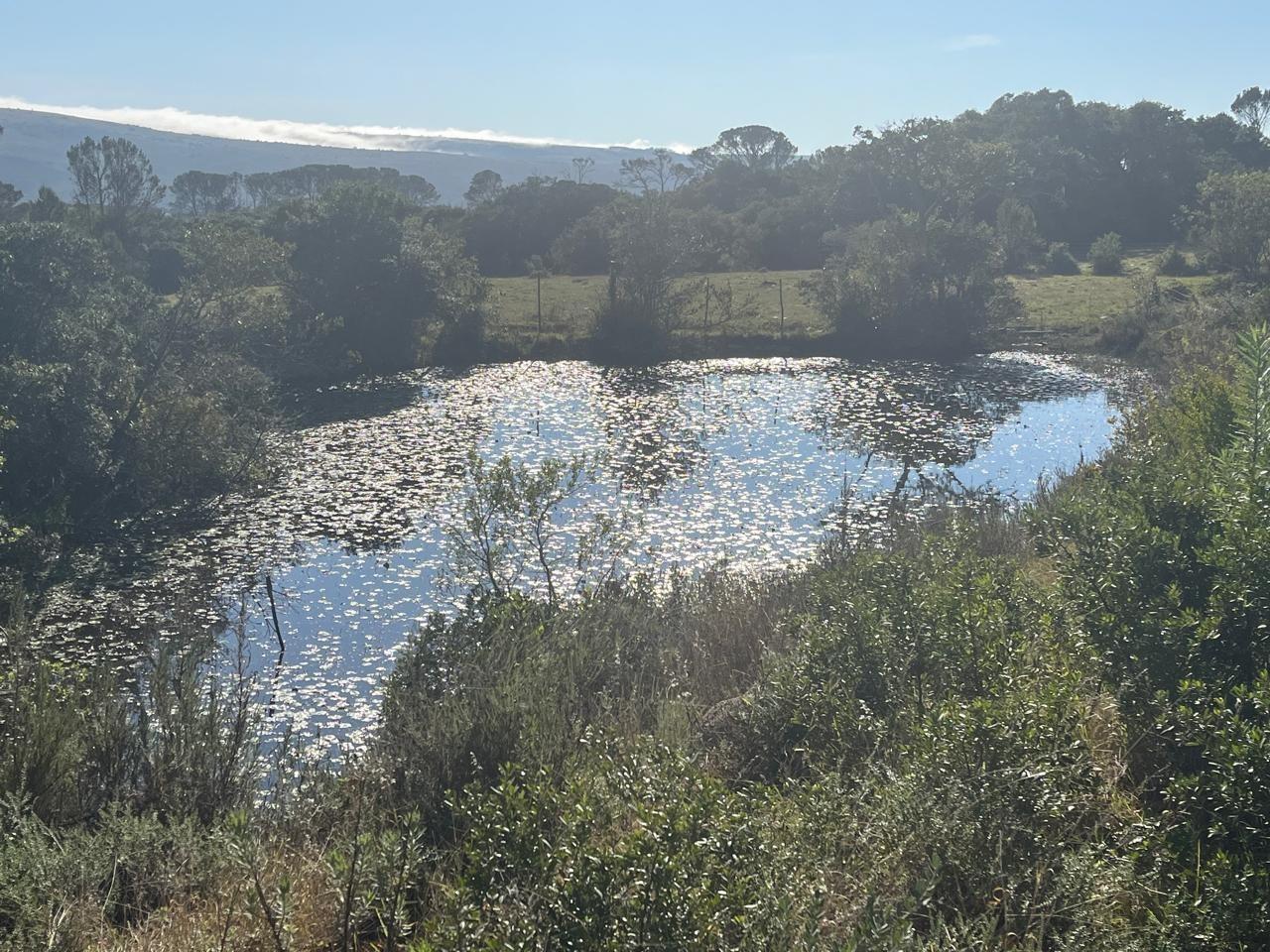 Farm for sale in Grahamstown Rural - 30 Bathurst Road - P24-116397063