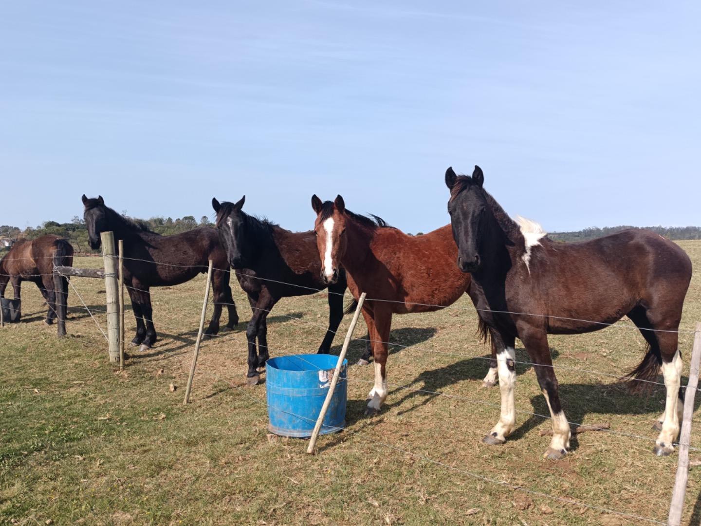 Farm for sale in Bathurst Rural - P24-116427952