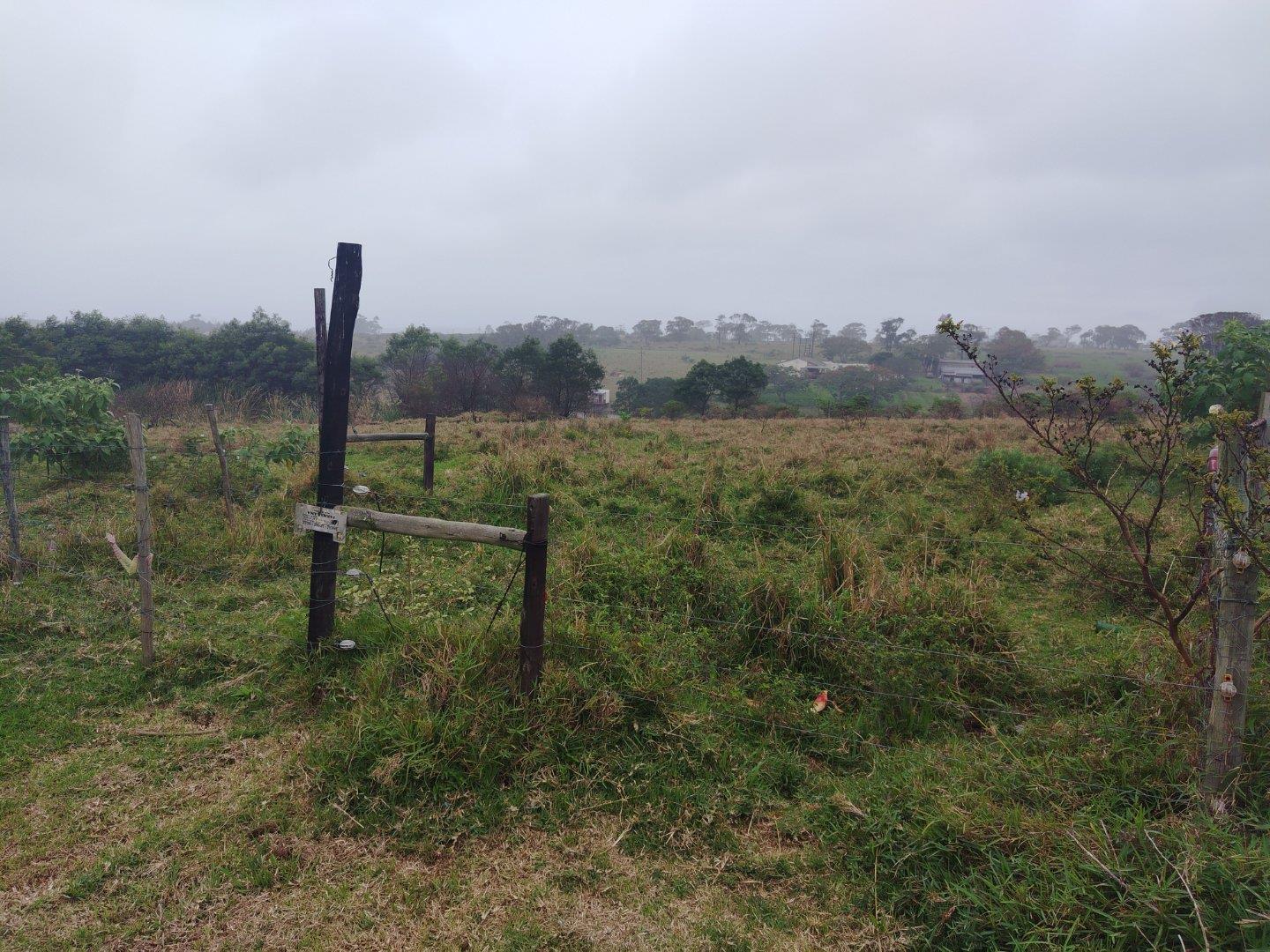 Farm for sale in Cove Ridge East - P24-116428634