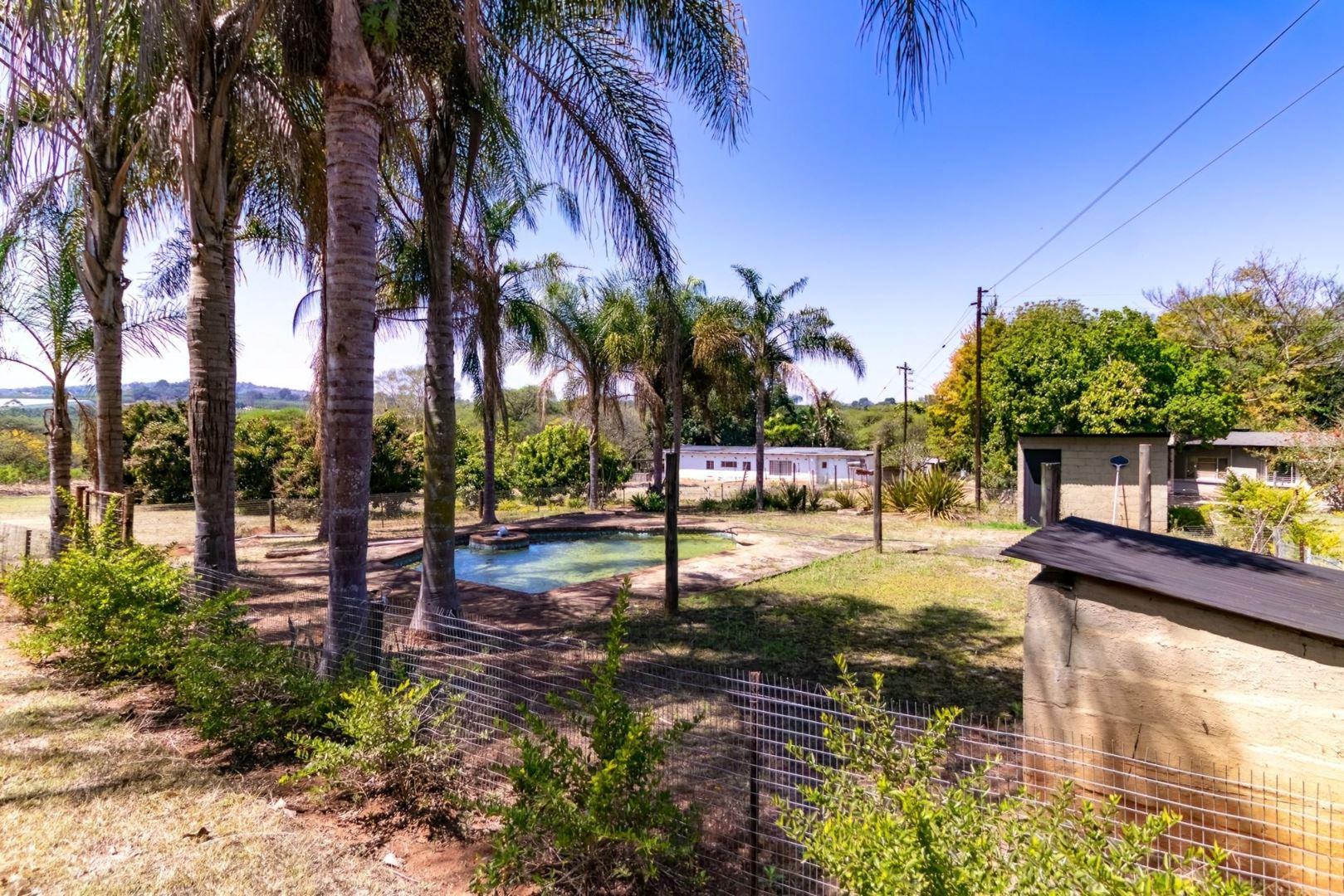 Farm for sale in White River Estates - 116 Jatinga - P24-116414155