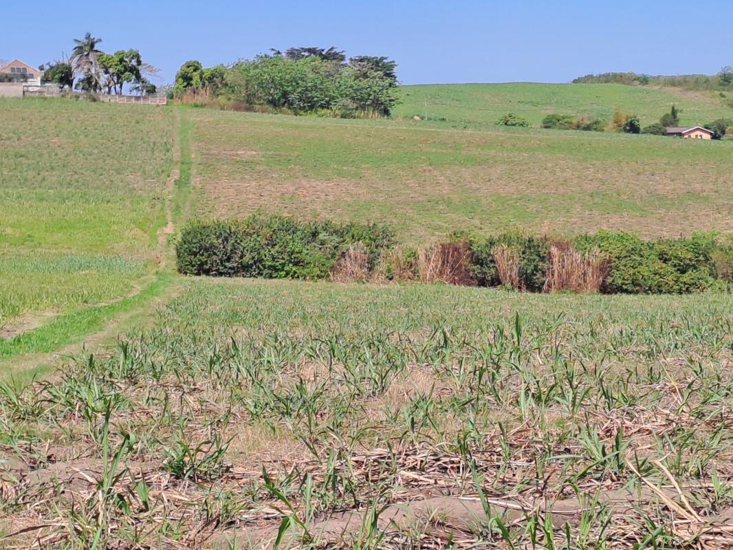 Farm for sale in Ballito Rural - P24-116493855
