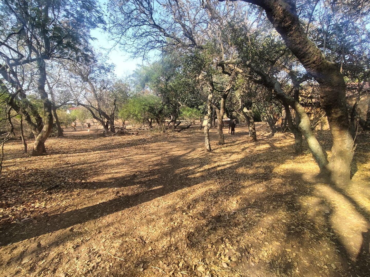 Farm for sale in Amandasig - P24-116519218
