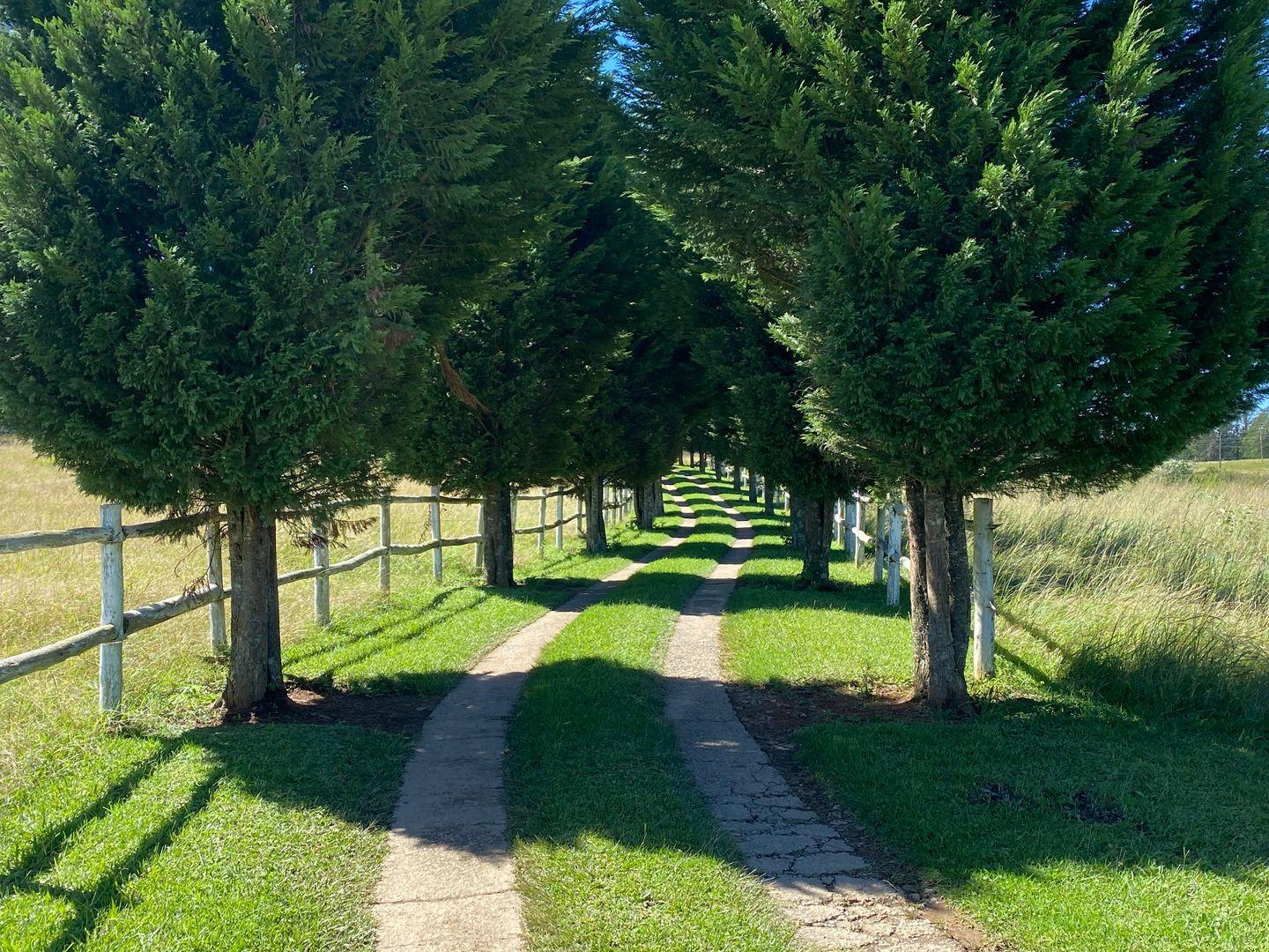 Farm for sale in Balgowan - P24-106195220
