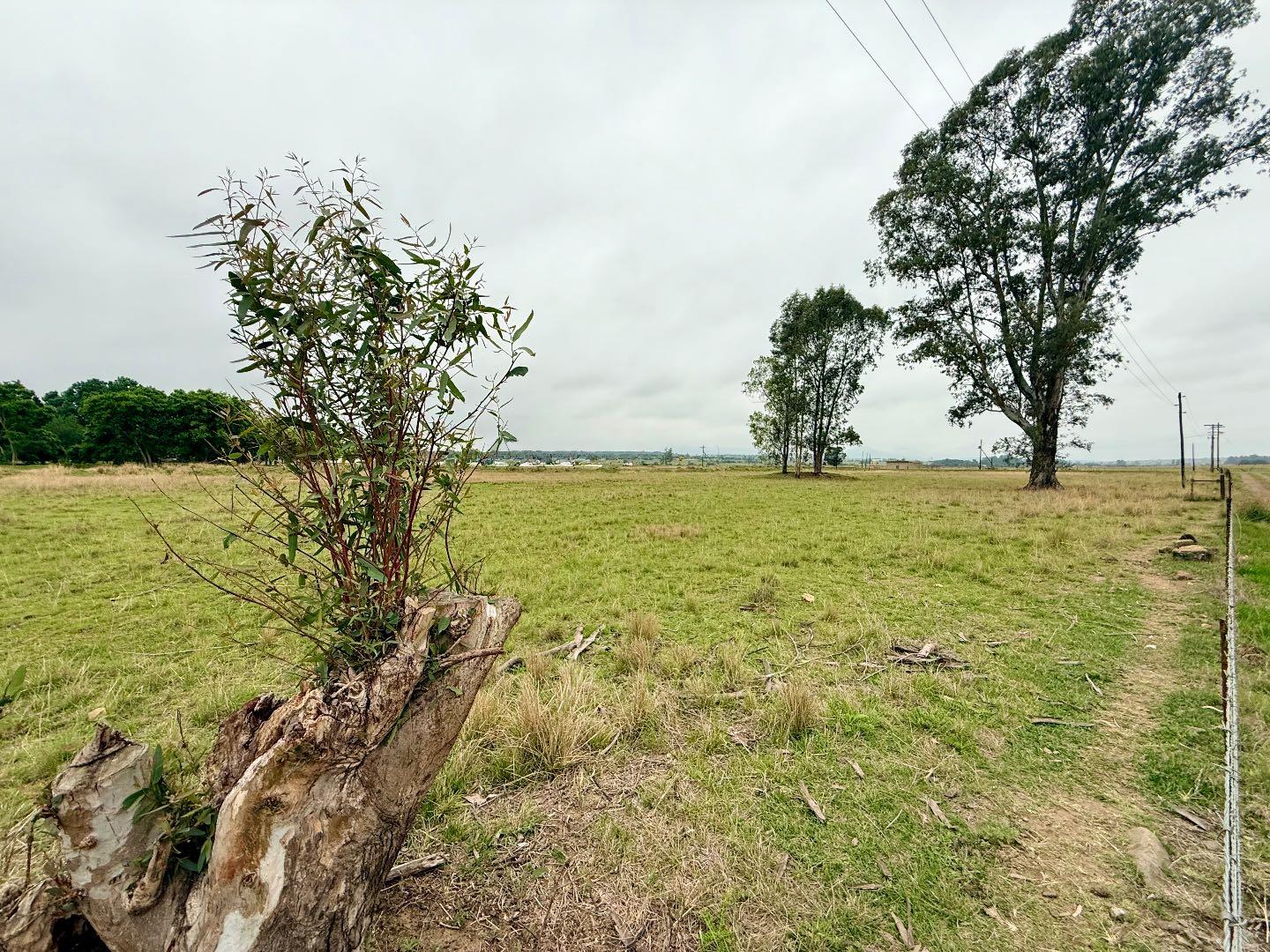 Farm for sale in Vryheid - P24-116596756