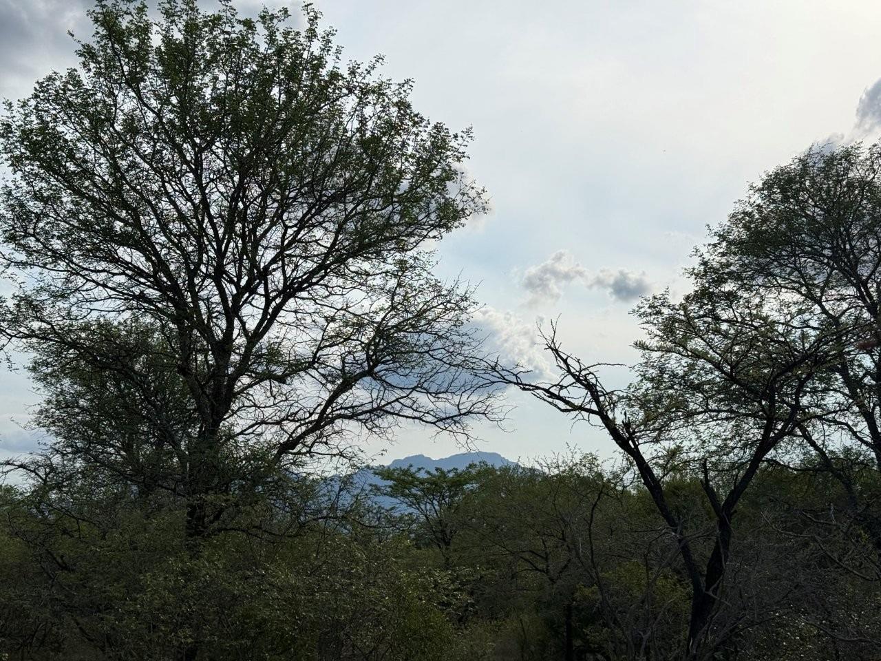 Vacant land / plot for sale in Moditlo Wildlife Estate - P24-116683096