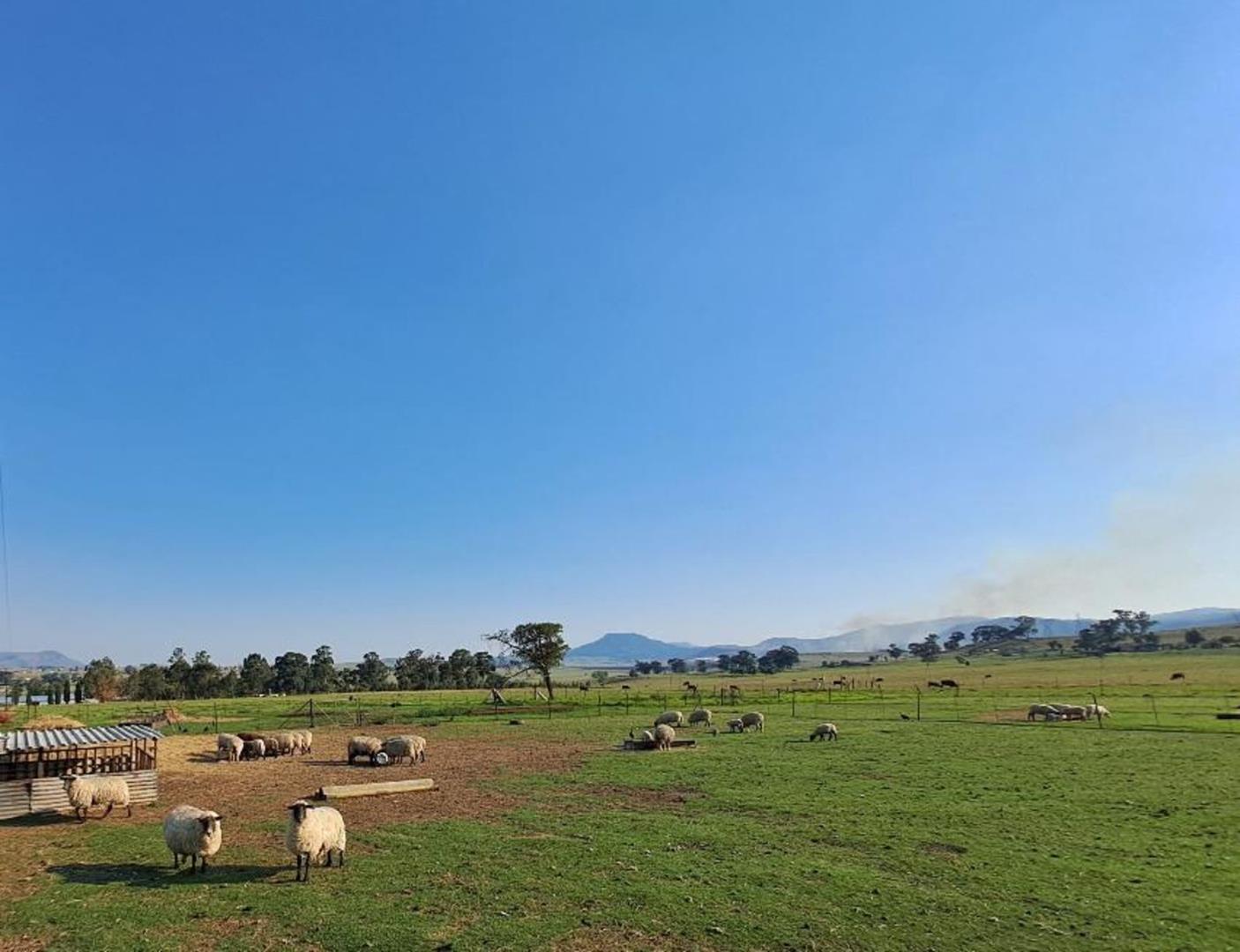 Farm for sale in Volksrust - P24-116714500