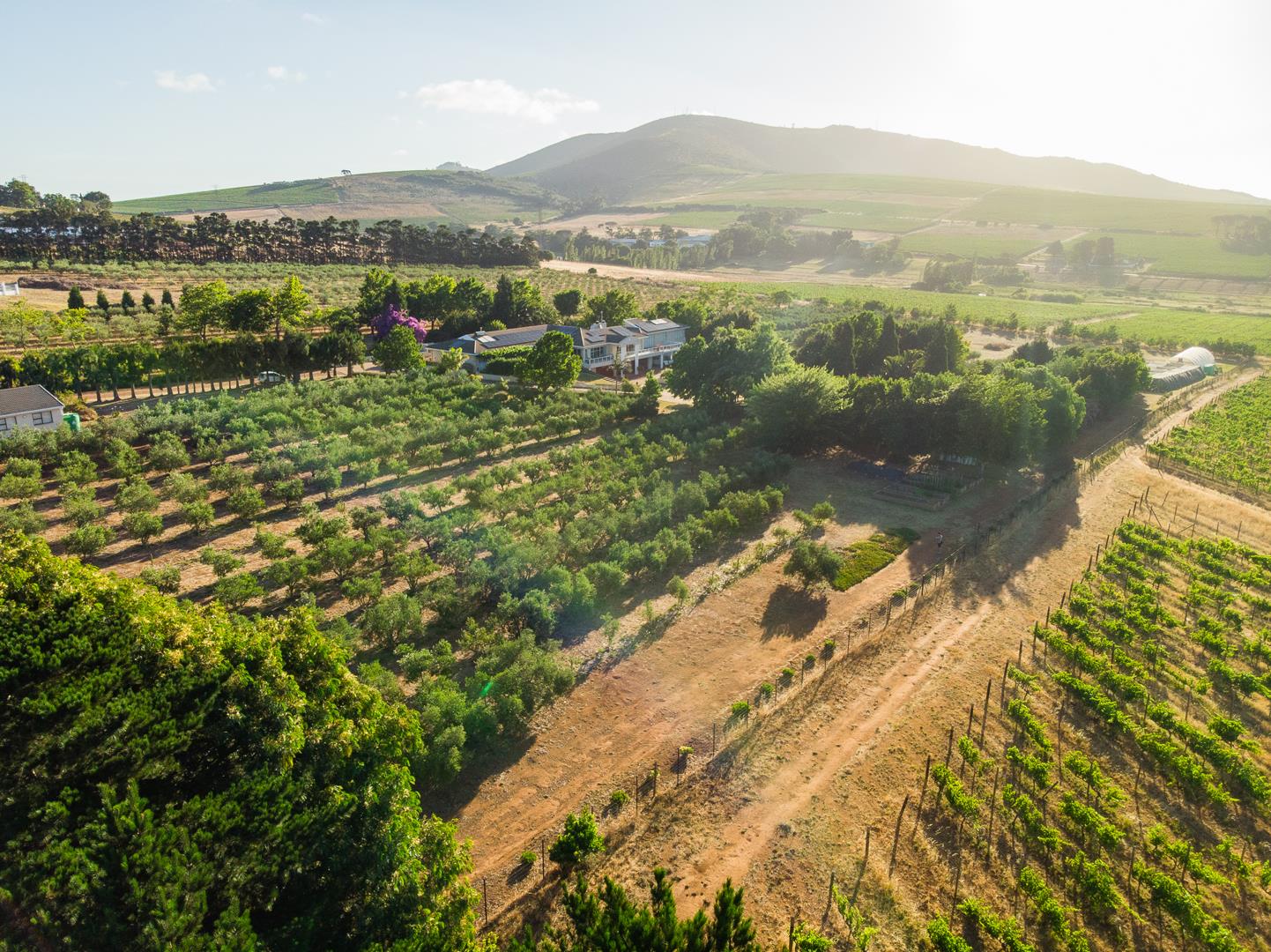 Property for sale in Western Cape : Farms for sale in Western Cape ...