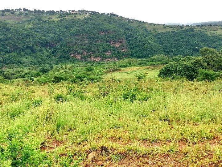 Farm for sale in Stanger Central - P24-116866936