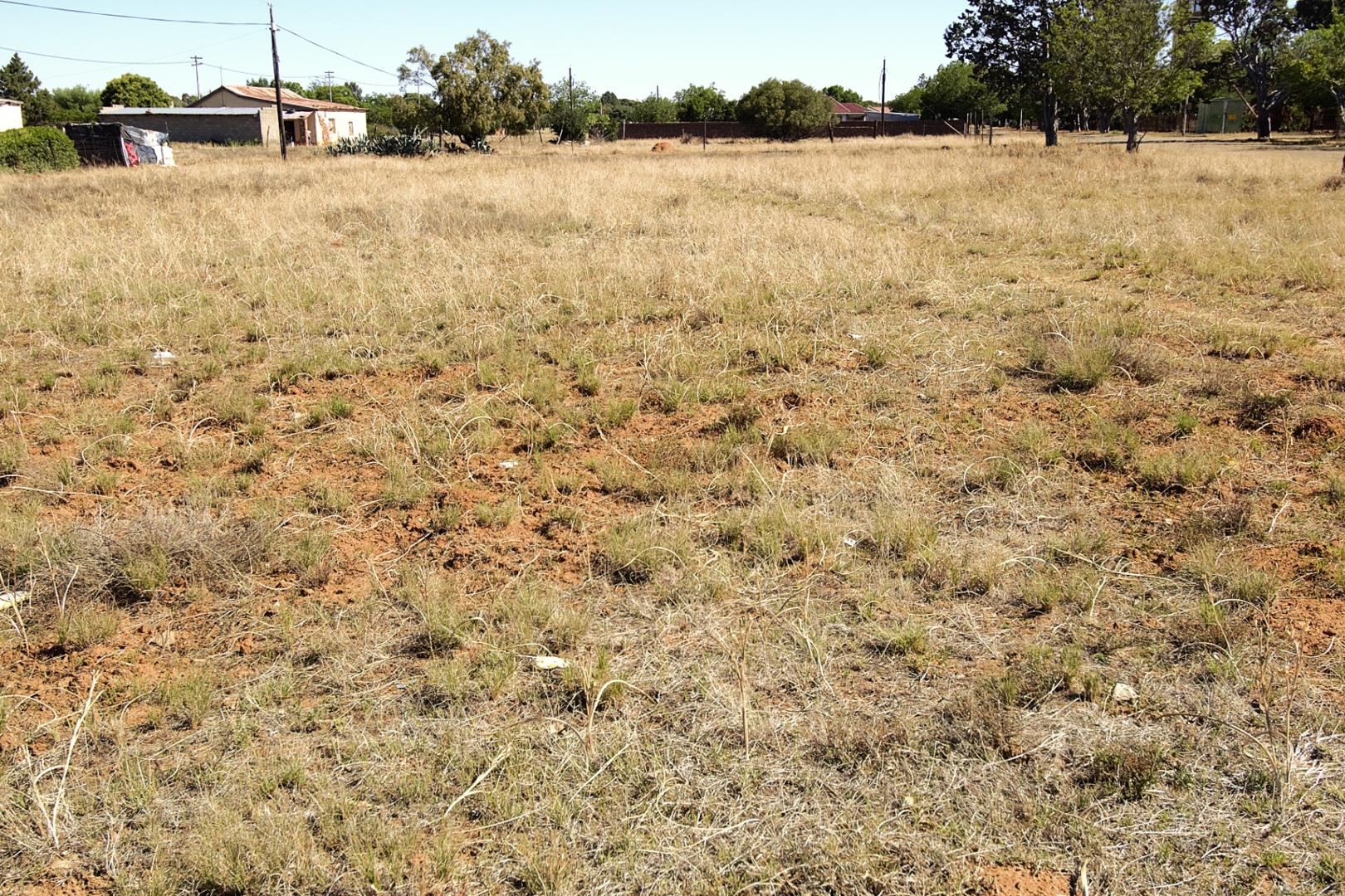 Vacant land / plot for sale in Springfontein - P24-116889169