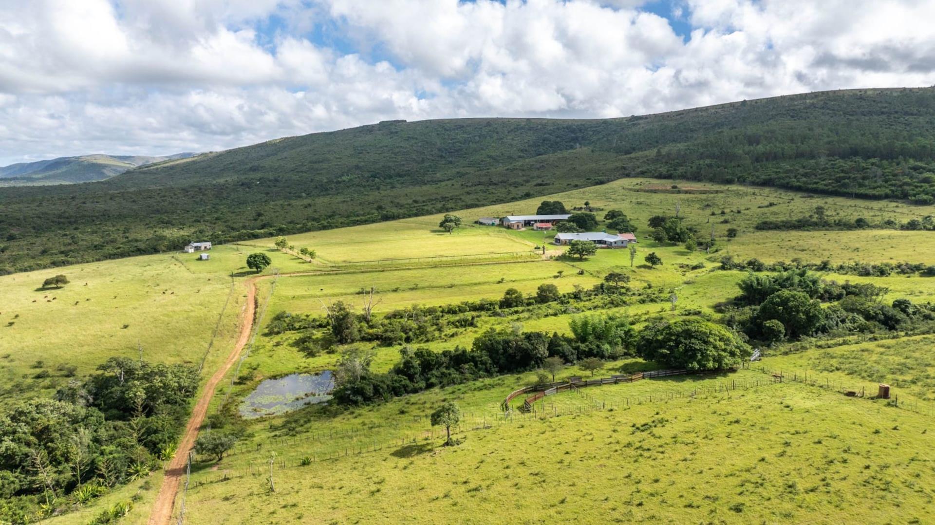 Farm for sale in Grahamstown Central - P24-115958574