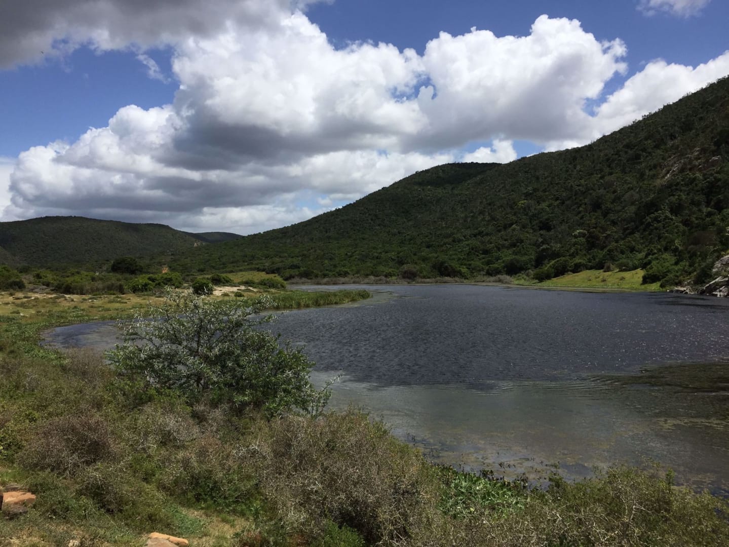 Farm for sale in Grahamstown Central - 9 Albany District - P24-116508014