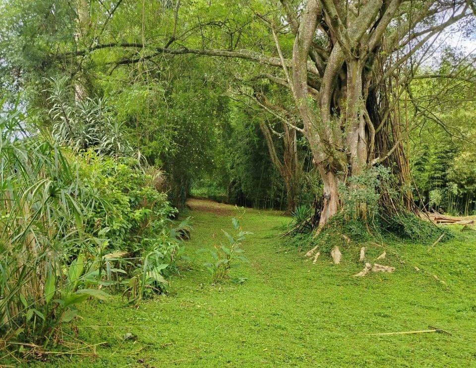 Vacant land / plot for sale in Inchanga - P24-116934339