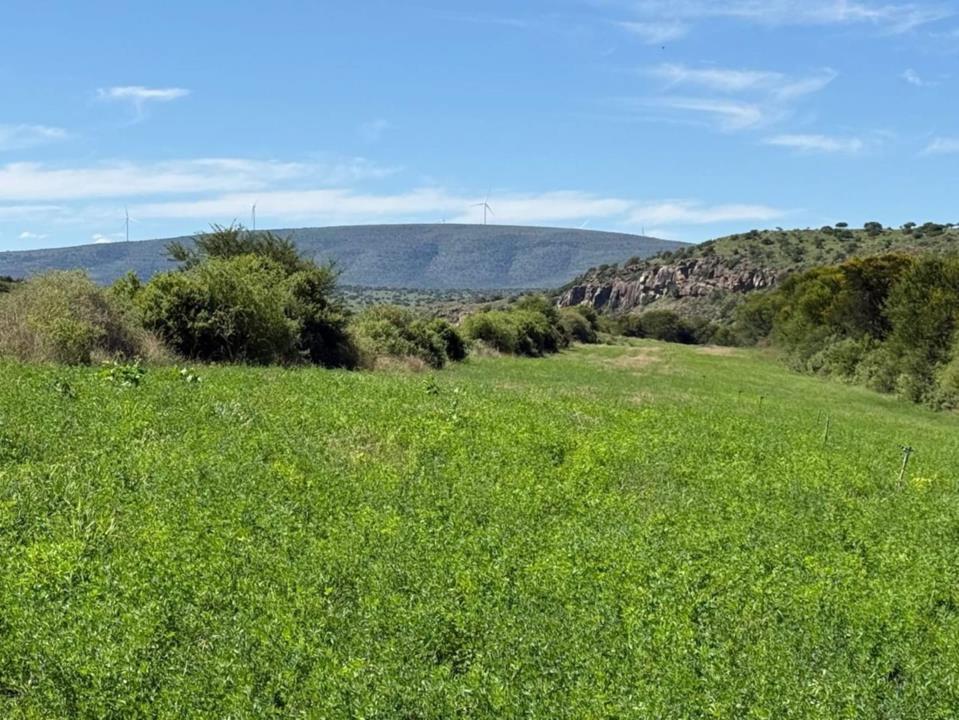 Farm for sale in Grahamstown Central - 222 Somerset East - P24-117014480