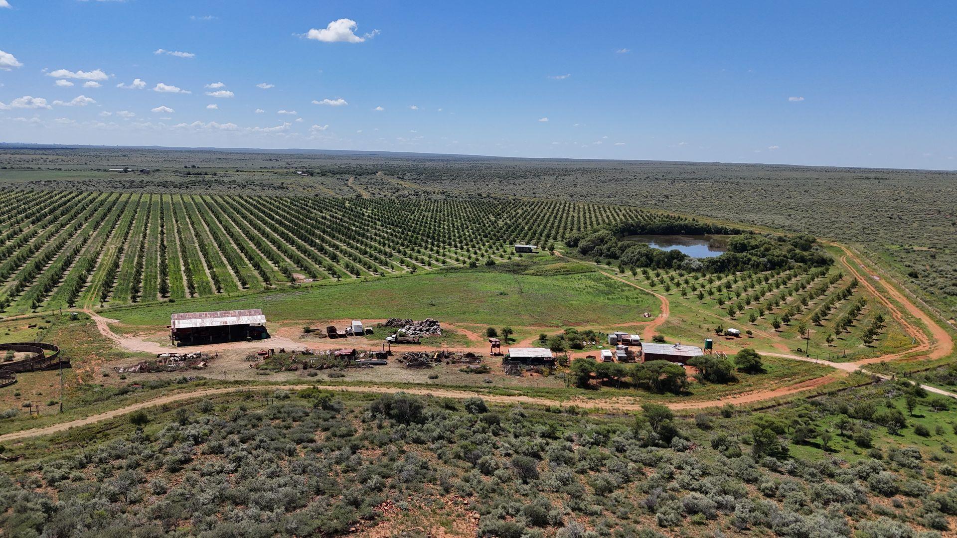 Farm for sale in Barkly West - P24-117023610