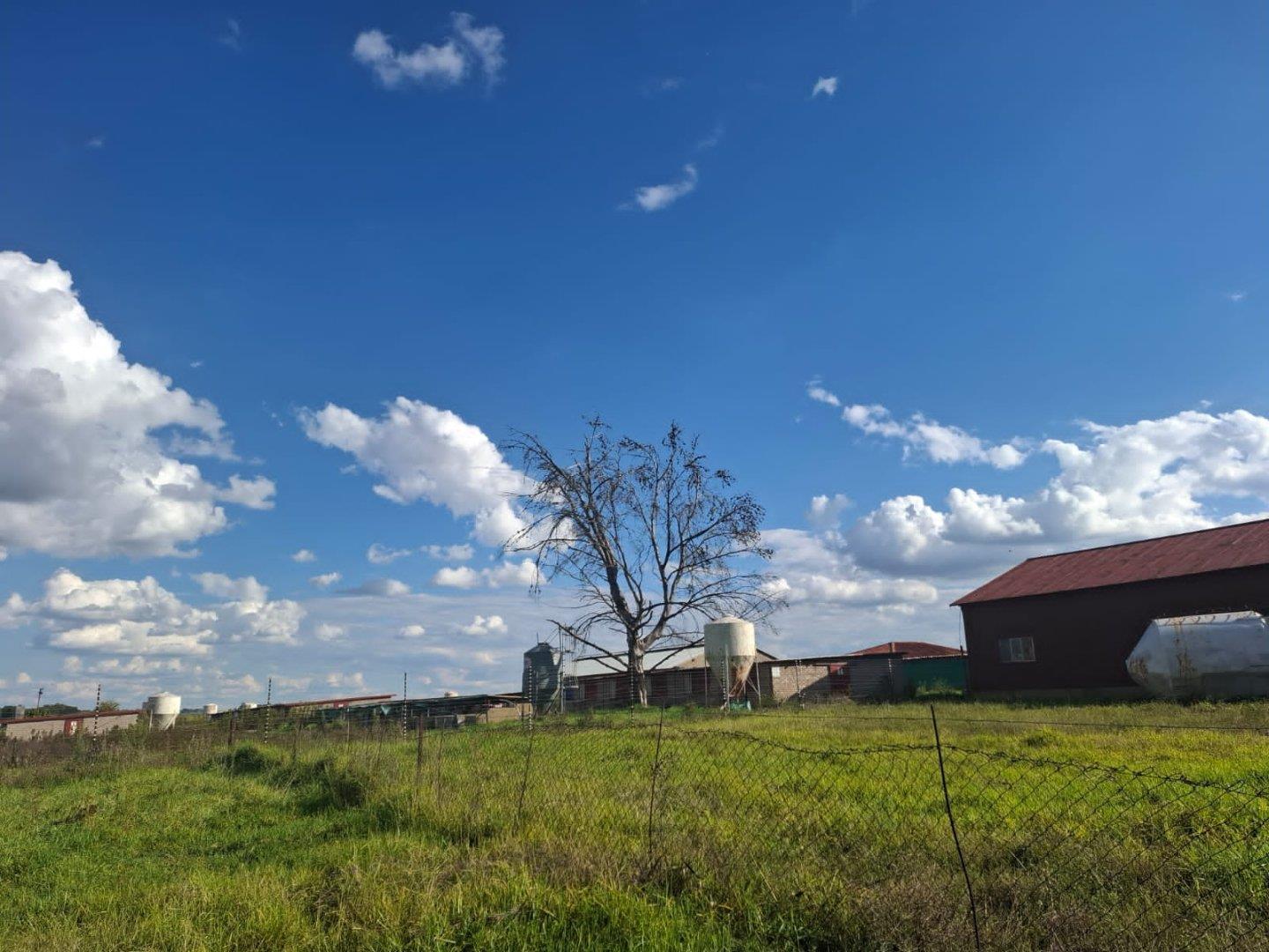 Farm for sale in Heilbron - P24-116121608